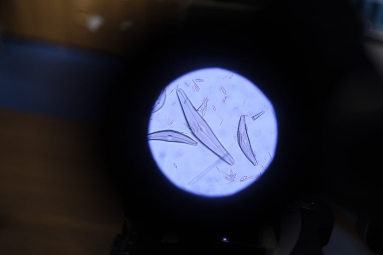 What is Thermodynamic ‘Negative Entropy’? – ENERGY-Philosophy